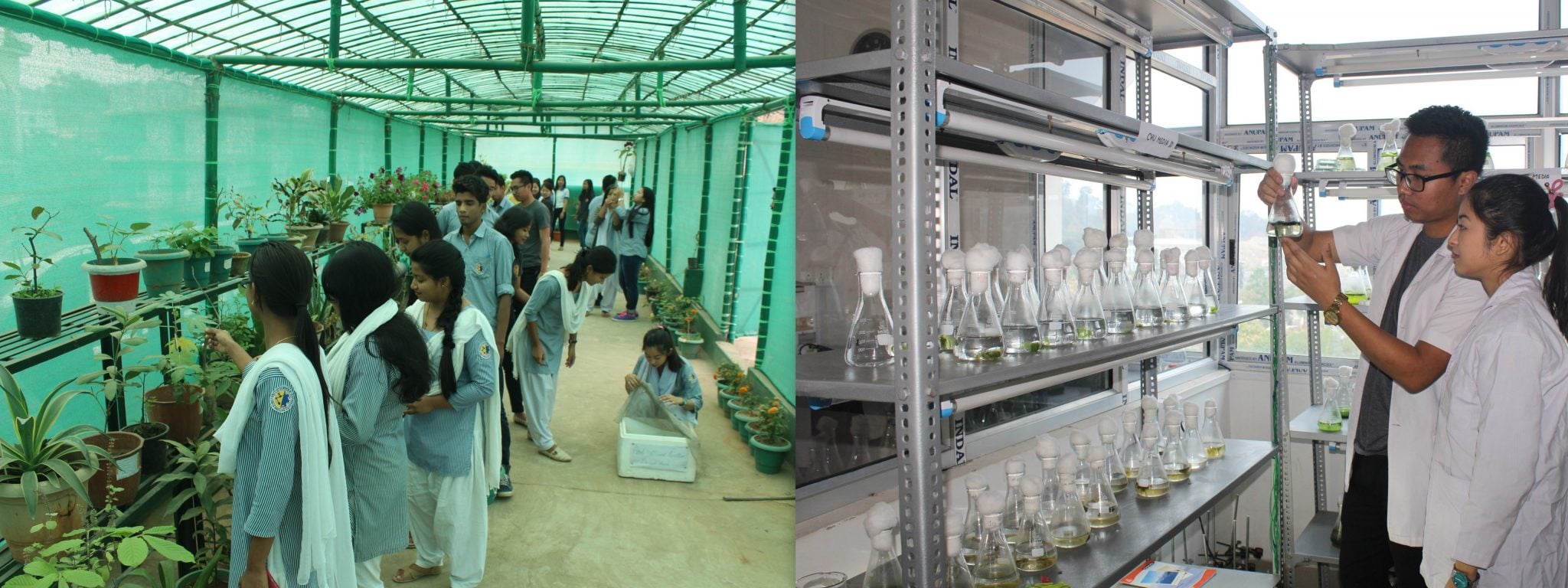 Department of Botany – USTM